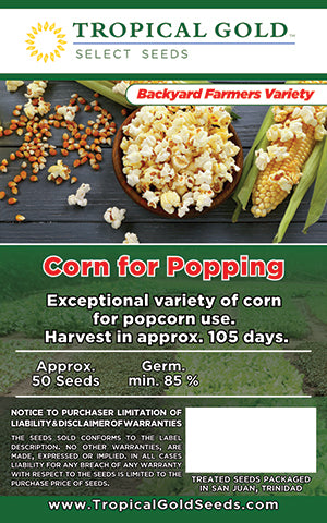 CORN FOR POPPING – Tropical Gold Seeds