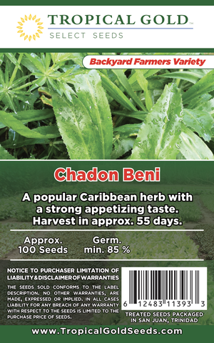 CHADON BENI / CULANTRO – Tropical Gold Seeds