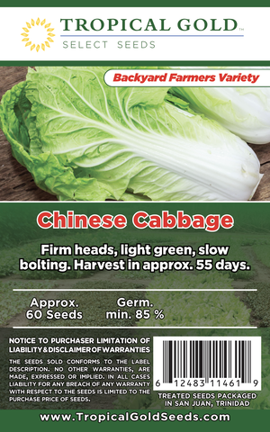 CHINESE CABBAGE – Tropical Gold Seeds