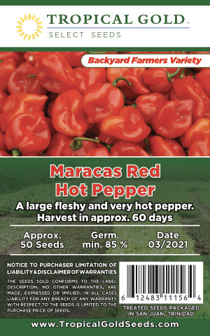 MARACAS RED HOT PEPPER – Tropical Gold Seeds