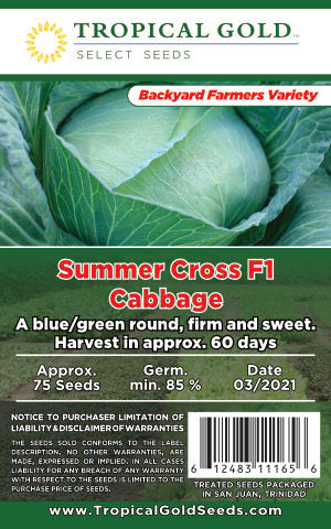 SUMMER CROSS F1 CABBAGE – Tropical Gold Seeds