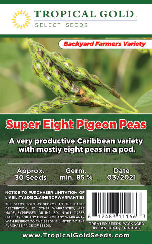 SUPER EIGHT PIGEON PEAS – Tropical Gold Seeds