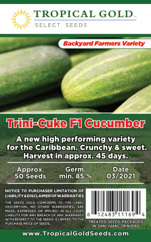TRINI-CUKE F1 CUCUMBER – Tropical Gold Seeds